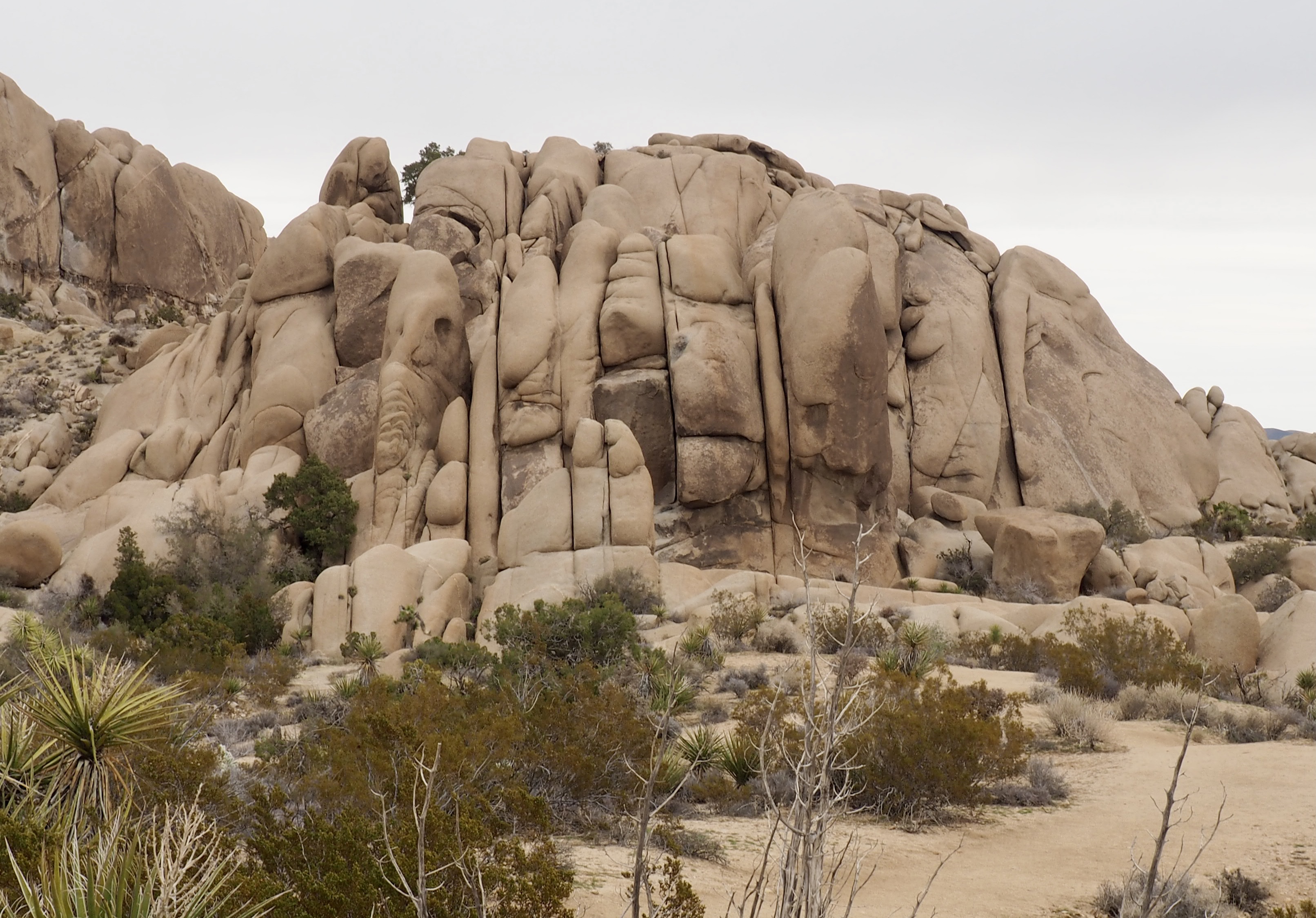 Joshua Tree: Rocks Steal the Show | Books and my backpack
